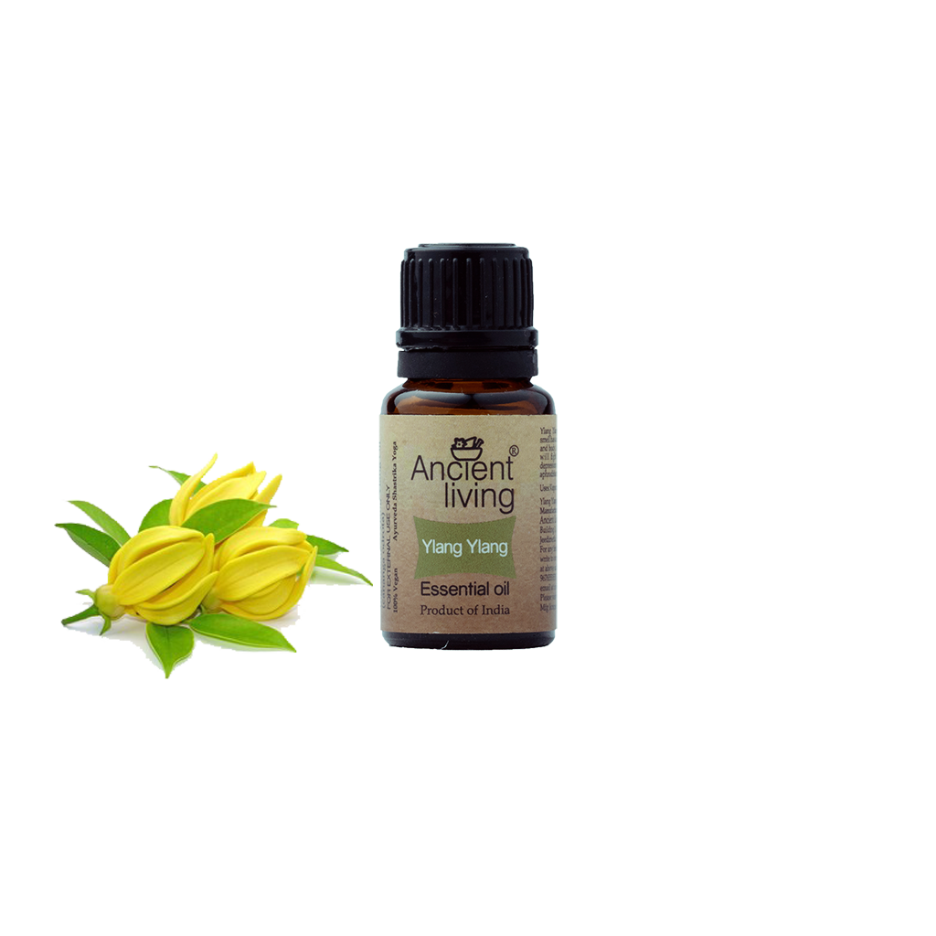 Essential Oils — Ancient Living.in